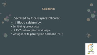 Comprehensive Overview of Endocrinology: Hormones, Glands & Mechanisms ...