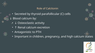Comprehensive Overview of Endocrinology: Hormones, Glands & Mechanisms ...