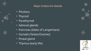 Comprehensive Overview of Endocrinology: Hormones, Glands & Mechanisms ...
