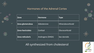 Comprehensive Overview of Endocrinology: Hormones, Glands & Mechanisms ...