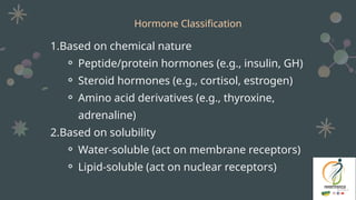 Comprehensive Overview of Endocrinology: Hormones, Glands & Mechanisms ...