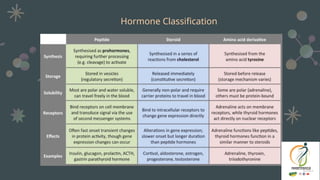 Comprehensive Overview of Endocrinology: Hormones, Glands & Mechanisms ...