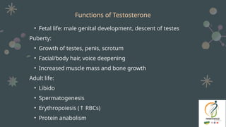 Comprehensive Overview of Endocrinology: Hormones, Glands & Mechanisms ...