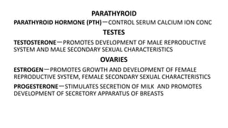 Introduction to Endocrinology | PPTX