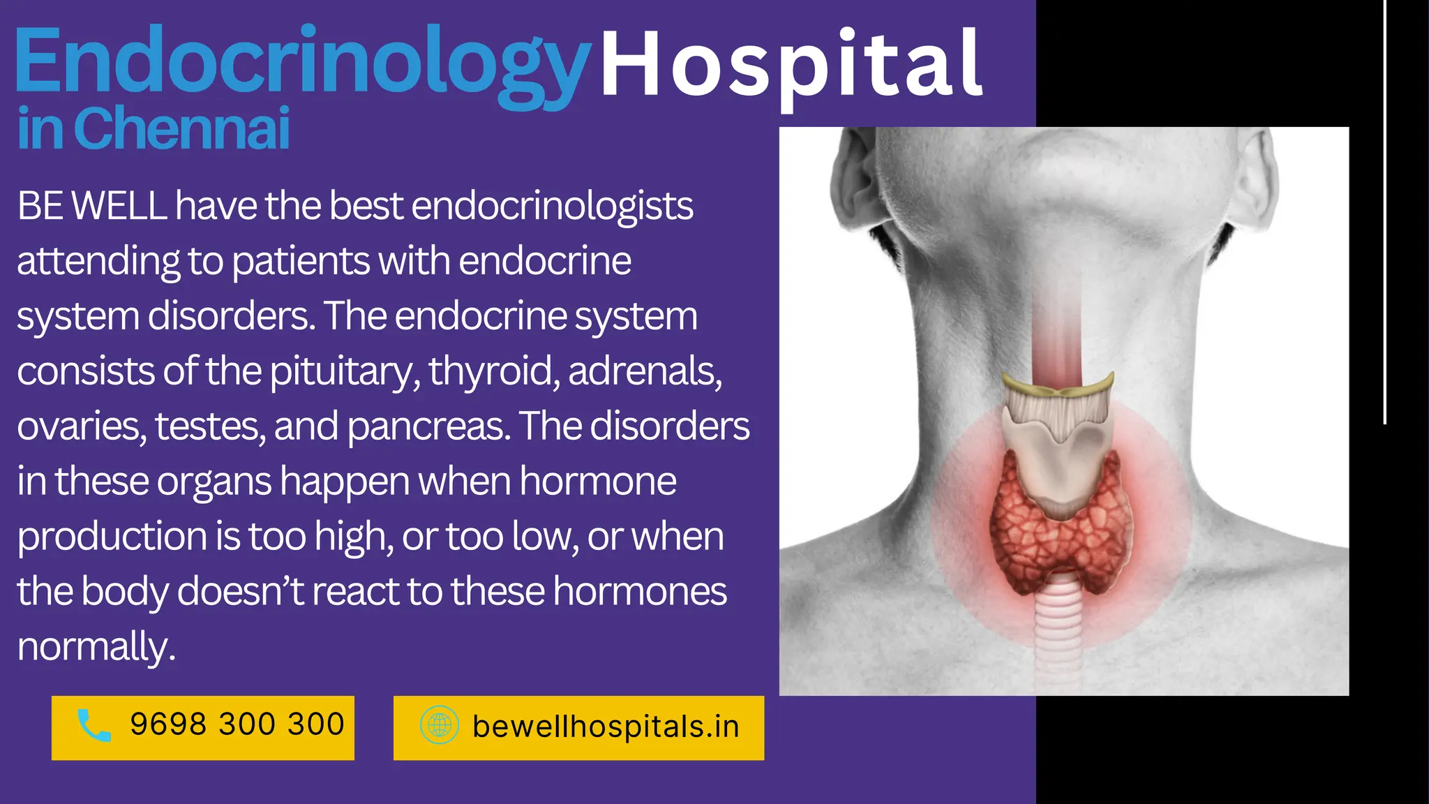 Endocrinology Hospital in Chennai.pdf .. | PDF | Endocrine and Metabolic Diseases | Diseases and ...