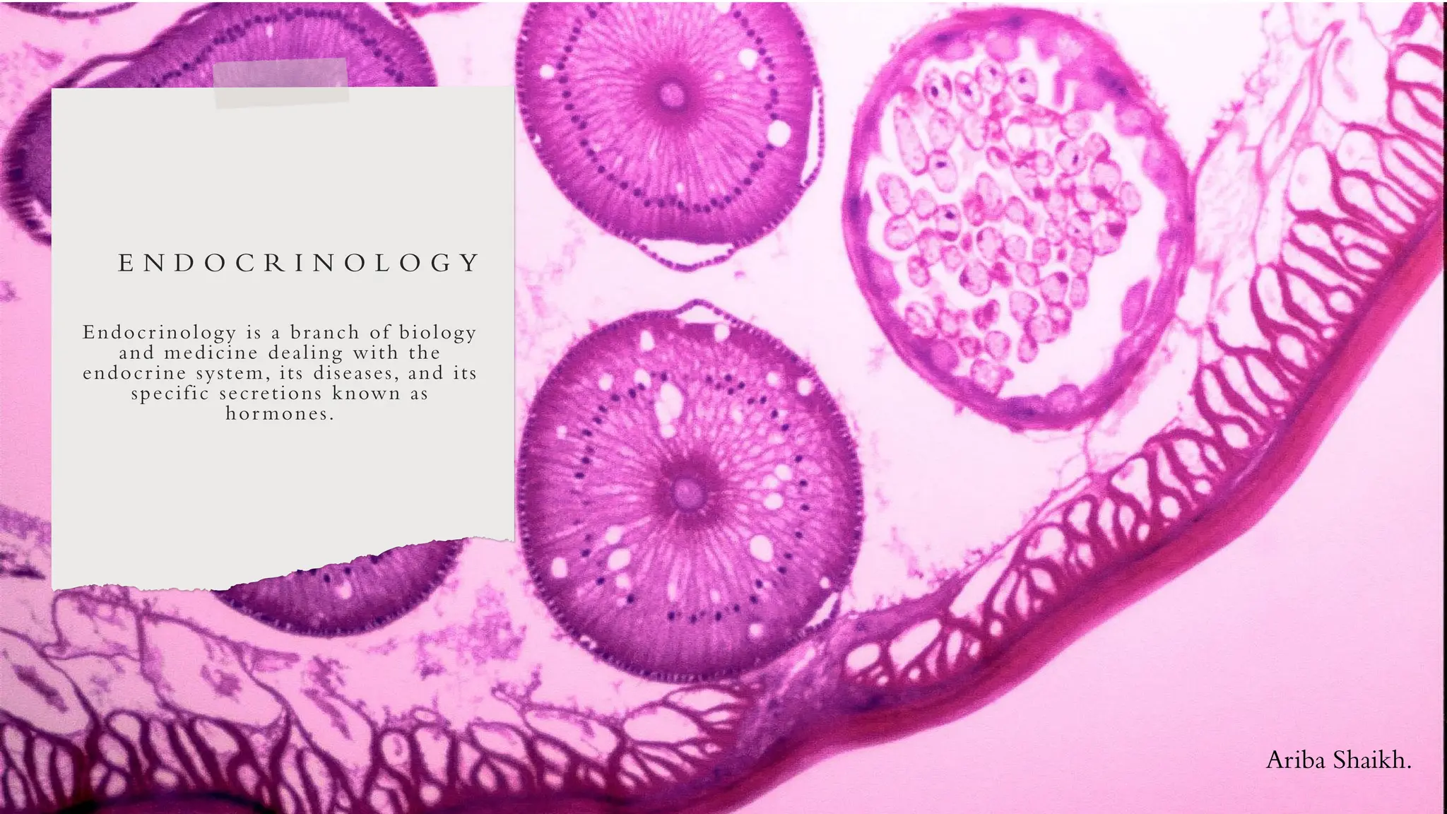 Basics of Endocrinology with types of hormones.pdf