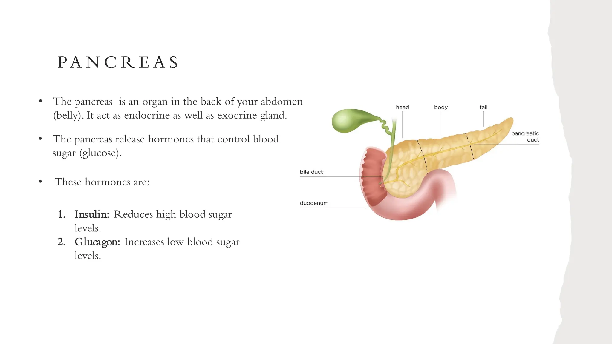 Basics of Endocrinology with types of hormones.pdf