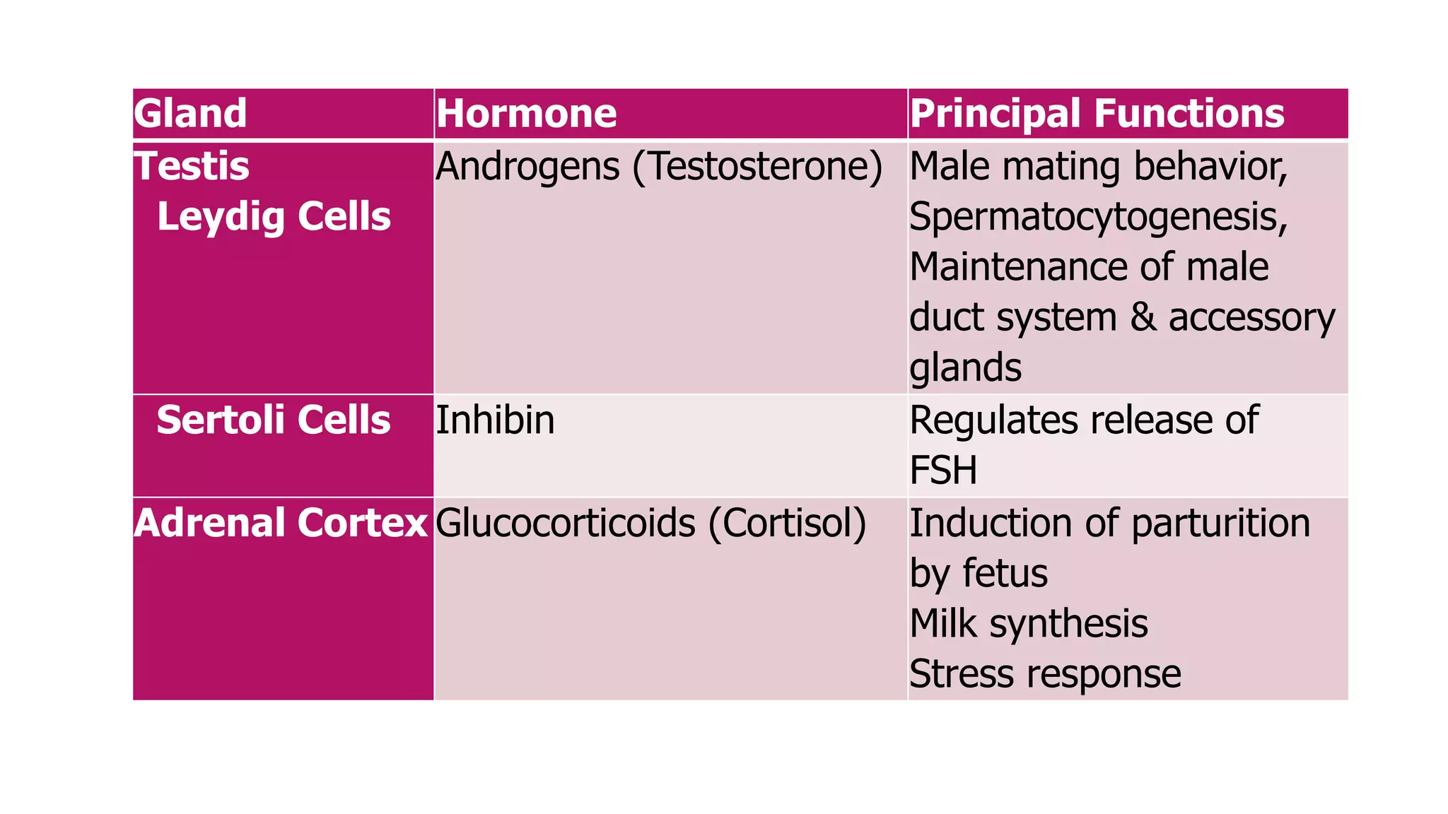 Physiology of the Endocrine System | PPTX