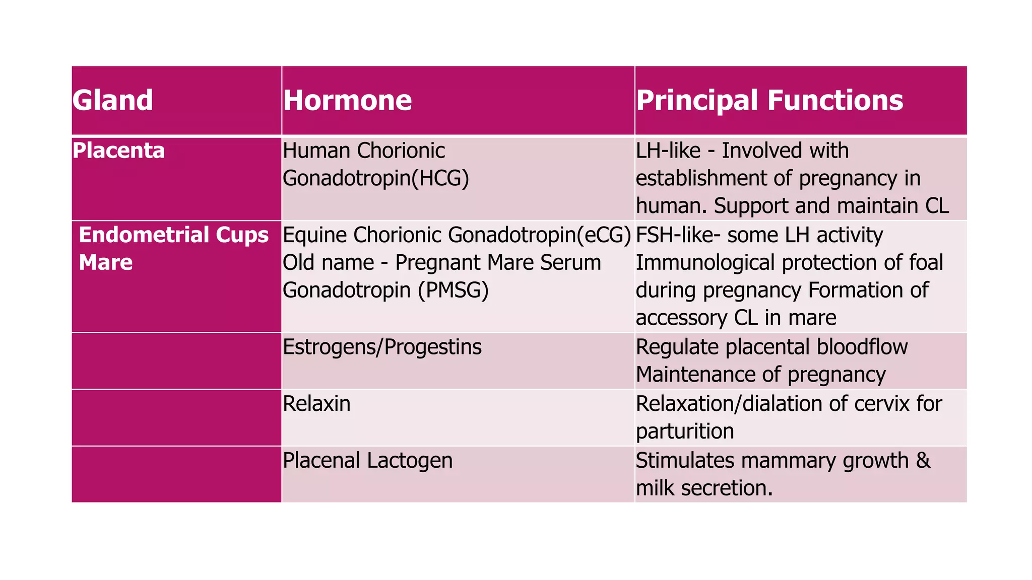 Physiology of the Endocrine System | PPTX