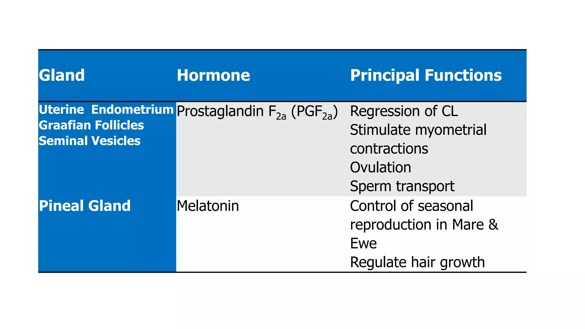 Physiology of the Endocrine System | PPTX