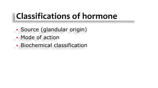 Physiology of the Endocrine System | PPTX