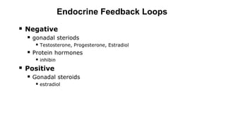 Mechanism of Hormone Action | PPTX