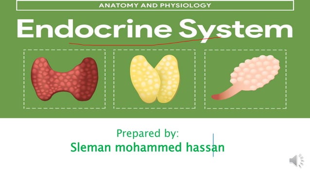 Endocrin system | PPT
