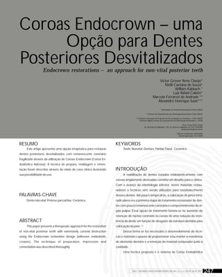 Endocrow | PDF