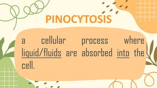 ENDOCYTOSIS-AND-EXOCYTOSIS.pdf General Biology 1 | PDF