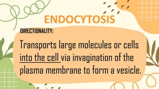 ENDOCYTOSIS-AND-EXOCYTOSIS.pdf General Biology 1 | PDF