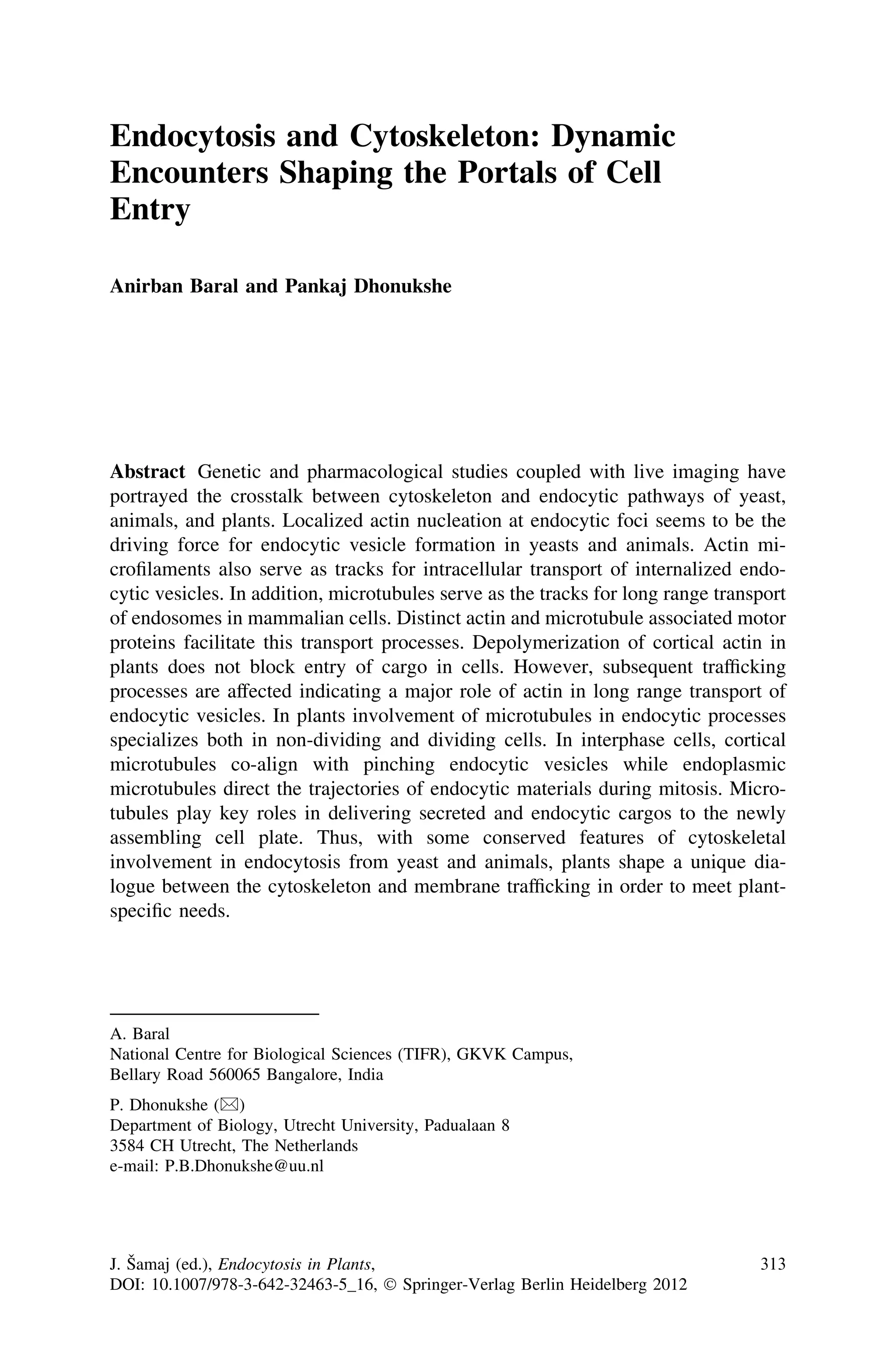 Endocytosis and cytoskeleton dynamic | PDF