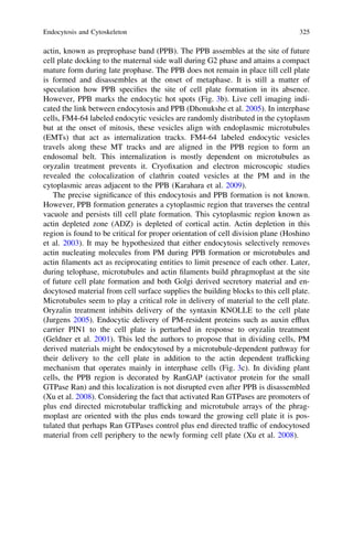 Endocytosis and cytoskeleton dynamic | PDF