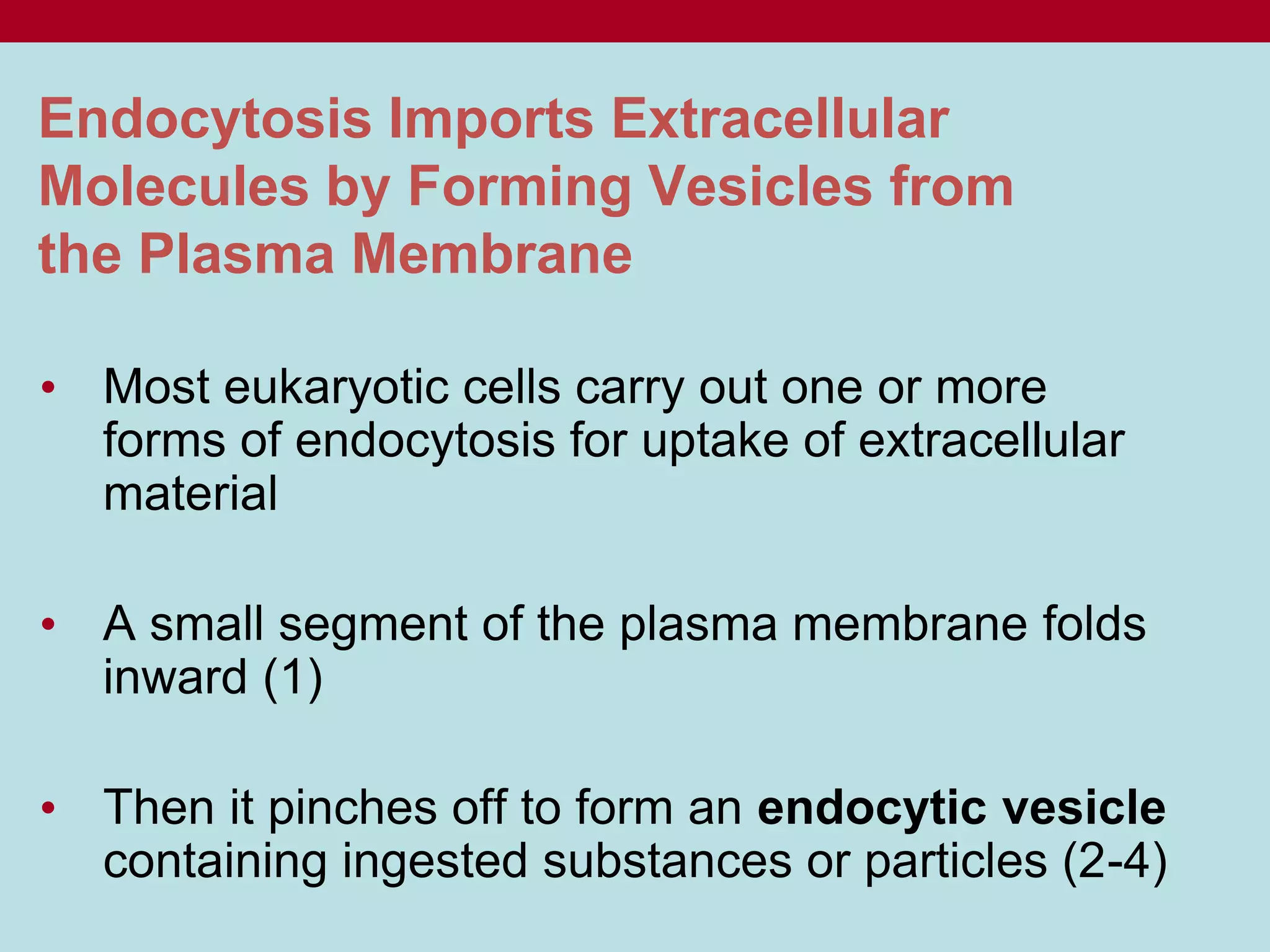 Endocytosis and exocytosis_Membrane transport.ppt