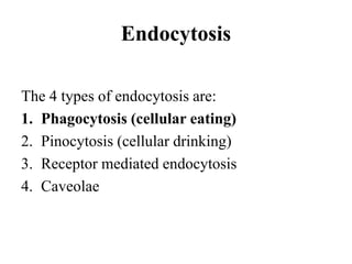 ENDOCYTOSIS & INFLAMMATION-1.pptx