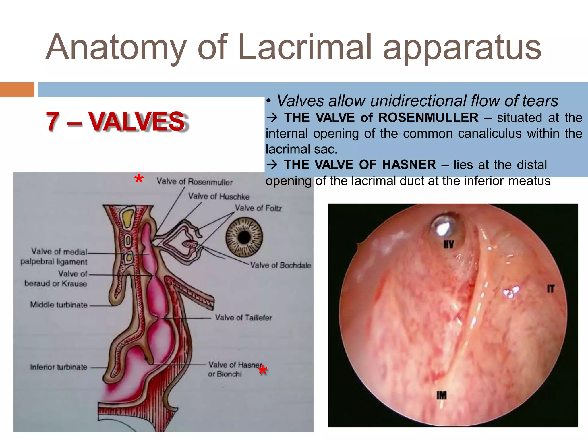 Endoscopic DCR | PPTX