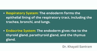 Endoderm Anatomy.pdf