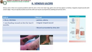 Endo Derma Subgroup 1.pptx
