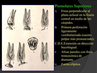 Endodoncia. Introducción a la Anatomía Pulpar y Accesos | PPTX