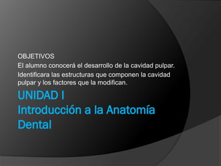 Endodoncia. Introducción a la Anatomía Pulpar y Accesos | PPTX