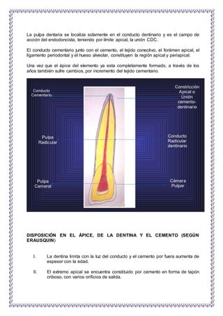 Endodoncia imprmir | DOCX