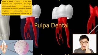 ENDODONCIA patología pulpar.pptx