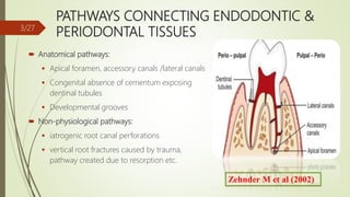 Endodontic periodontal interactions | PPTX