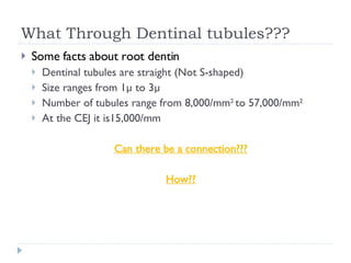 Endodontic Periodontic Considerations | PPT