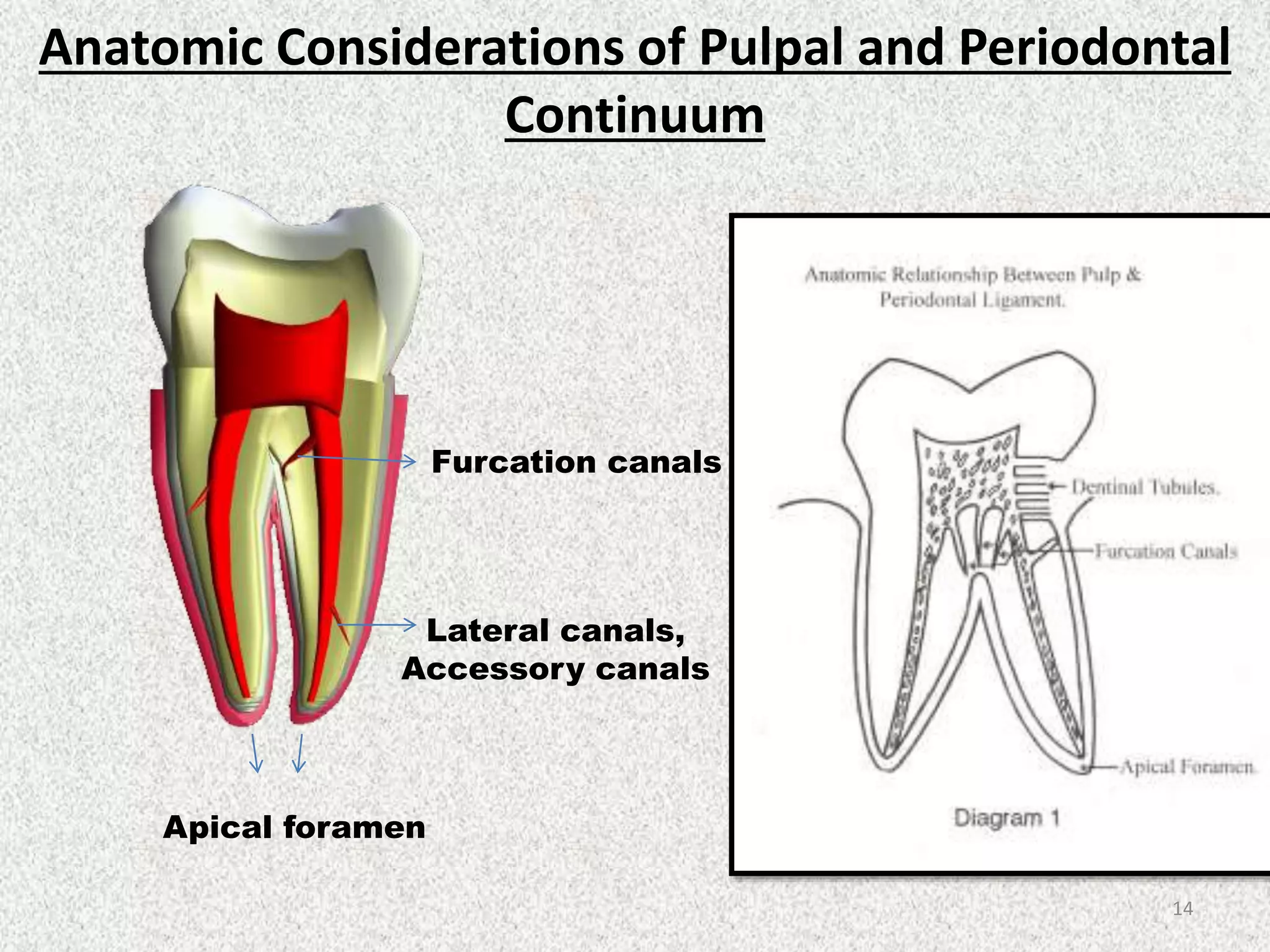 Endodontic periodontic interrelationship | PPTX