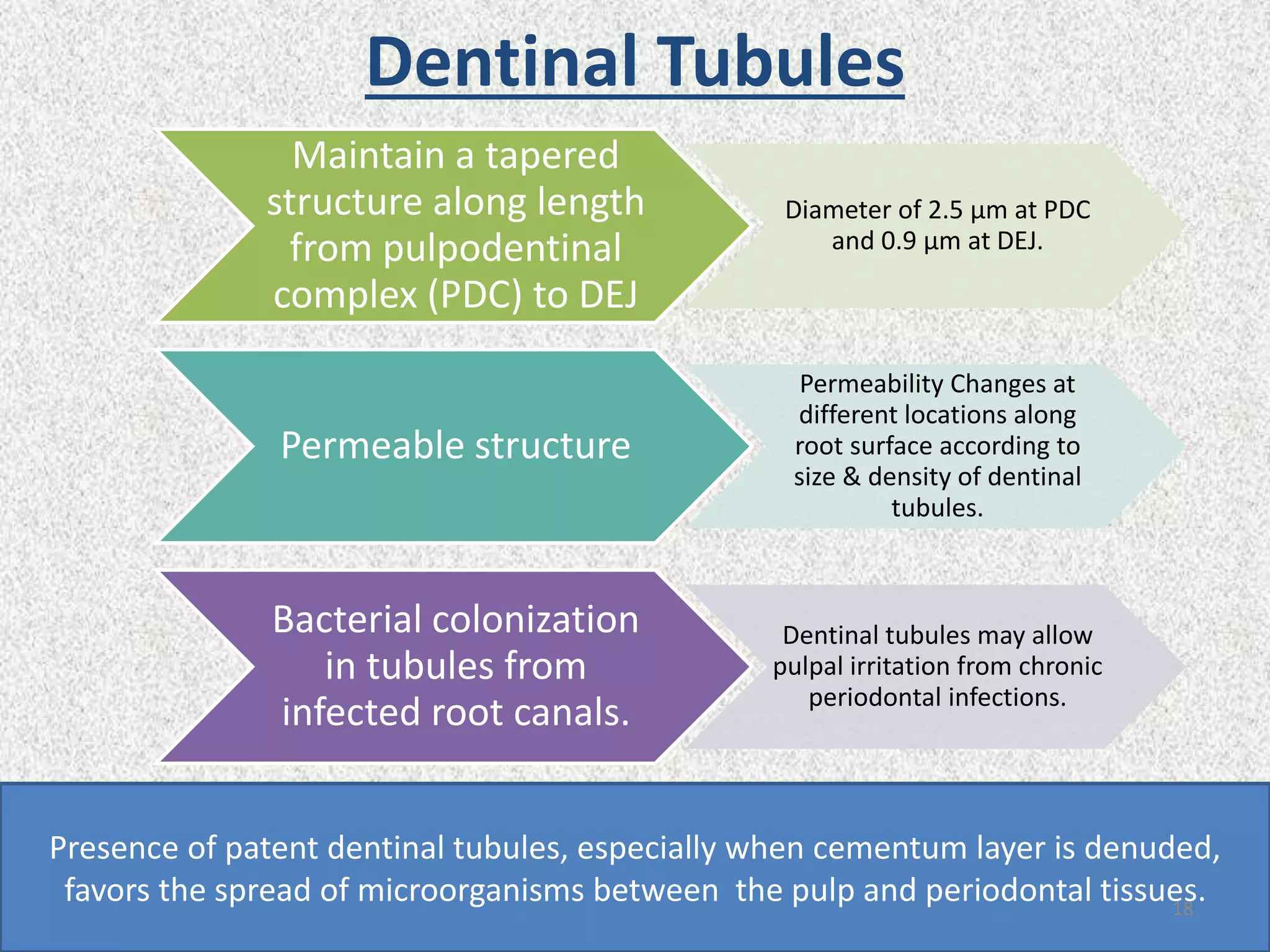 Endodontic periodontic interrelationship | PPTX