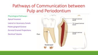 Endodontic-Periodontic Lesions-ediated.pptx
