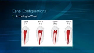 Endodontic Access Cavity Preparation | PPTX