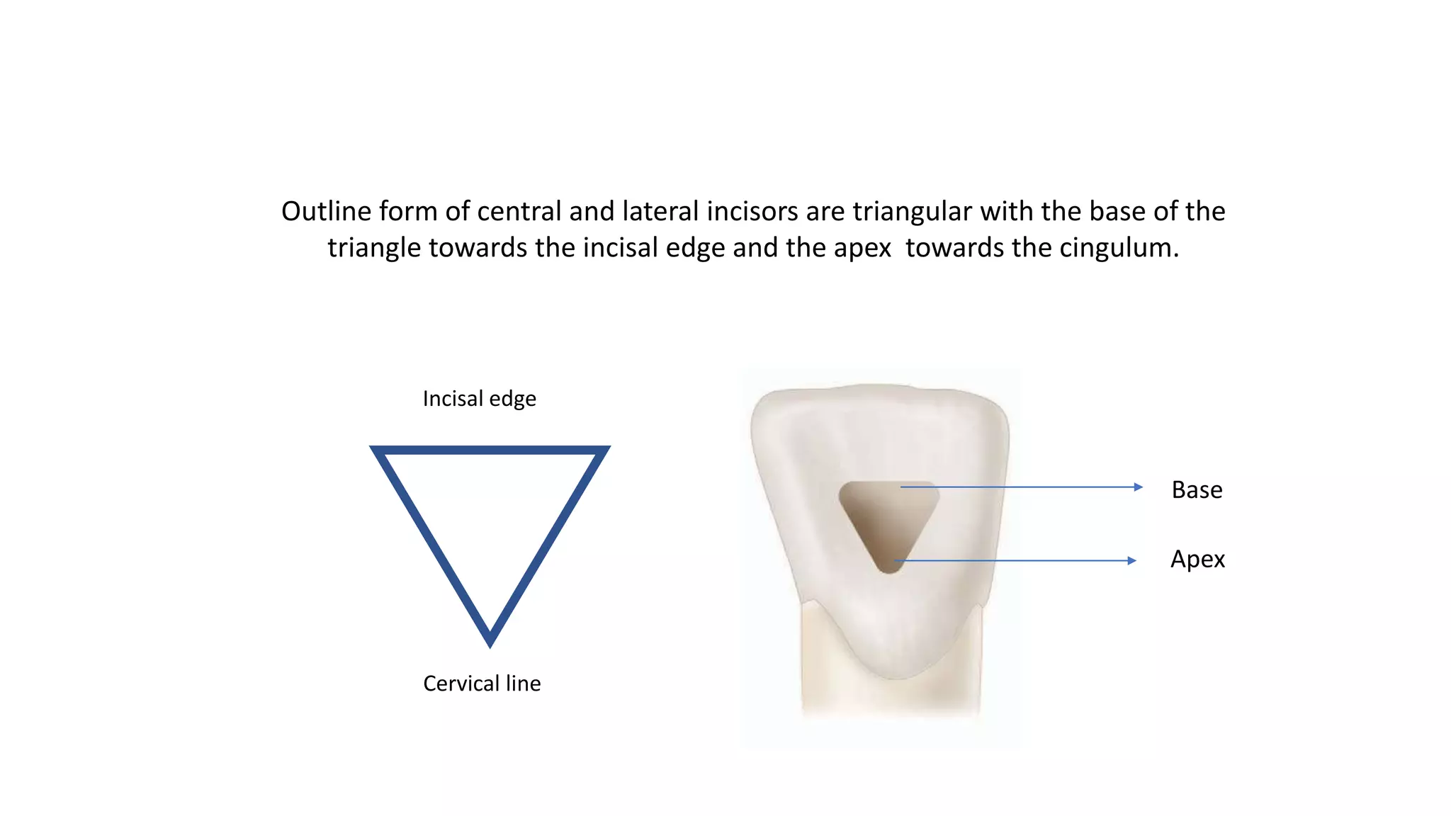 Endodontic Access Cavity.pptx