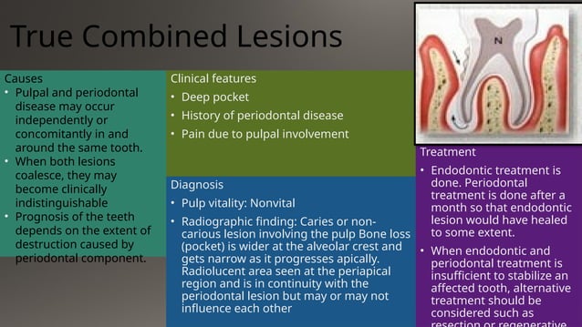Endodontic and Periodontal Interrelationships.pptx | Dental Health | Diseases and Conditions