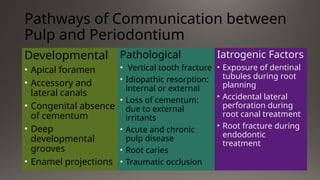 Endodontic and Periodontal Interrelationships.pptx | Dental Health ...