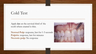 Endodontic Diagnosis and Treatment Planning | PPTX