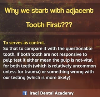 Endodontic Diagnosis: Pulp Vitality Tests | PDF
