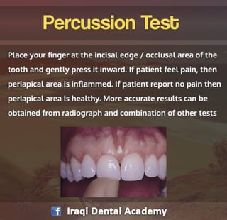 Endodontic Diagnosis: Pulp Vitality Tests | PDF