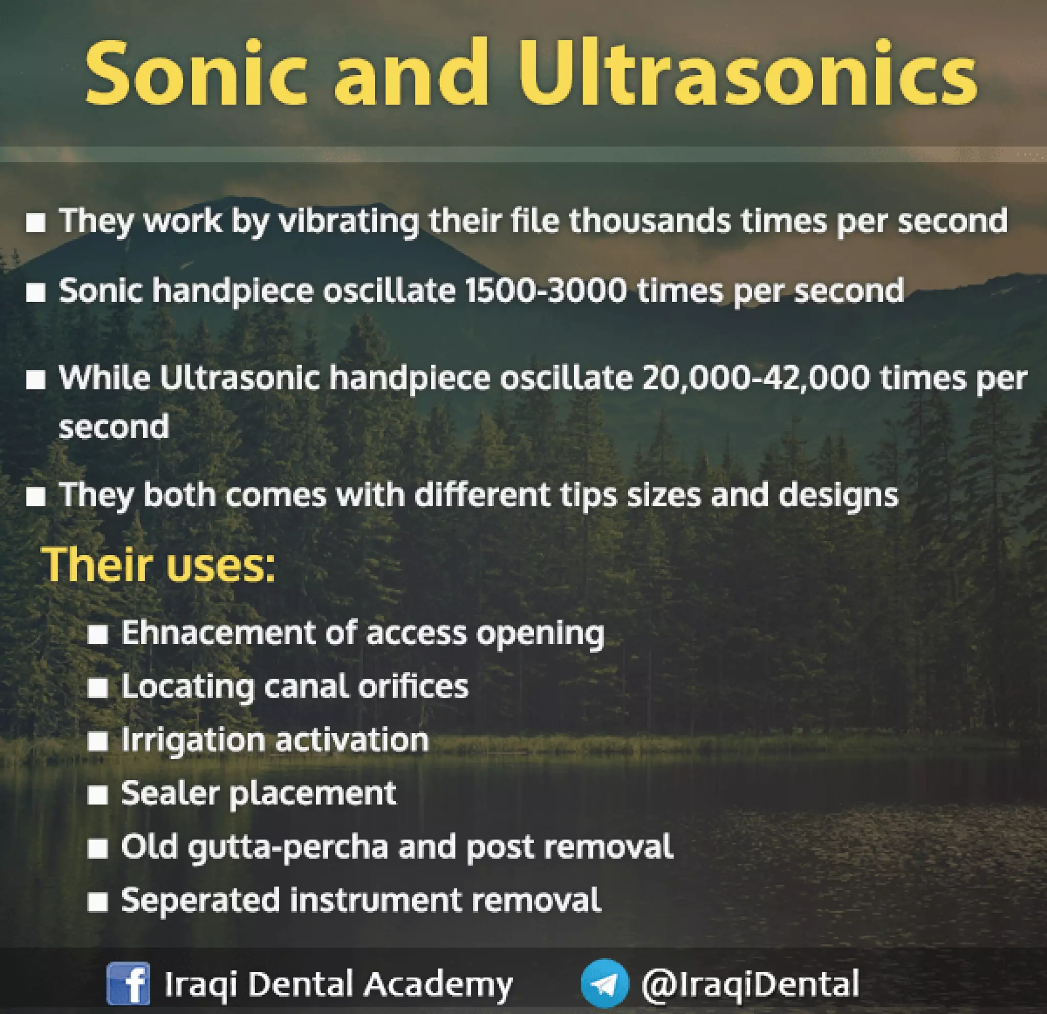 Basic Endodontic Instruments Presentation | PDF