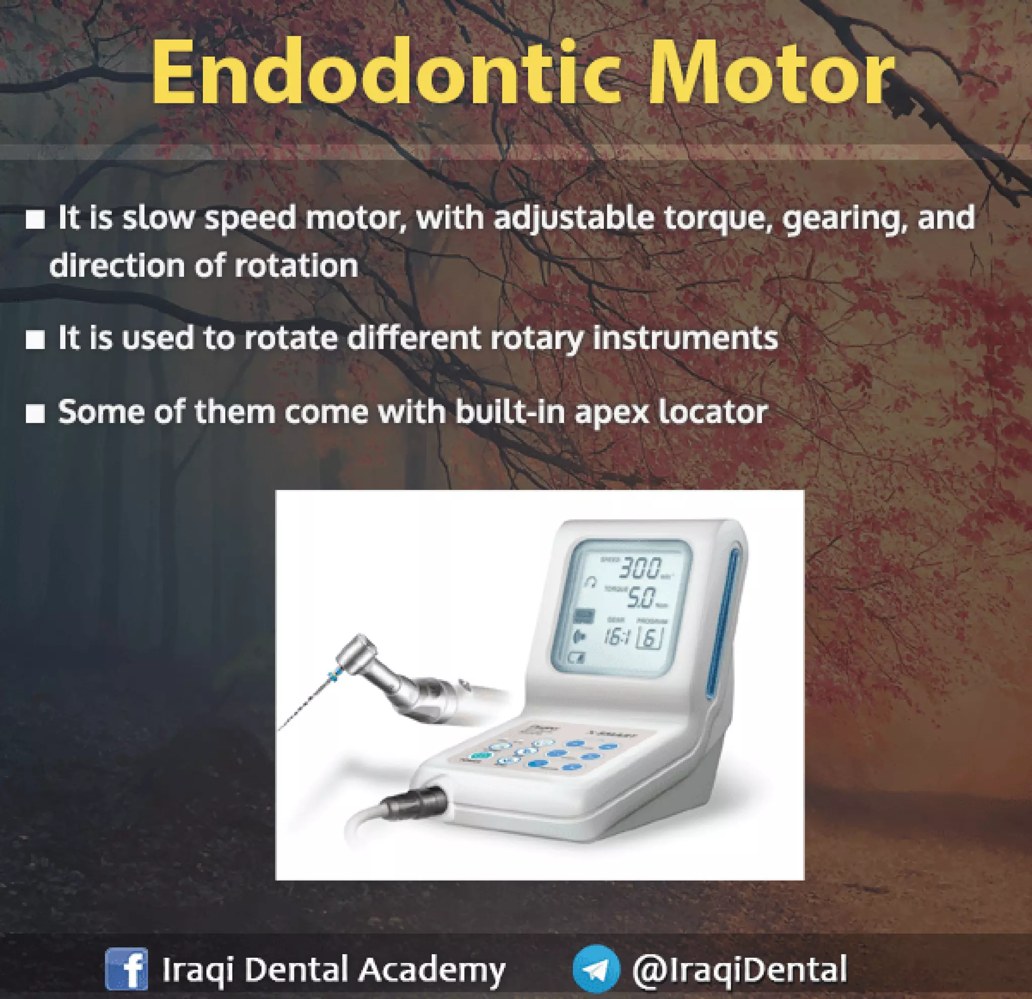 Basic Endodontic Instruments Presentation | PDF