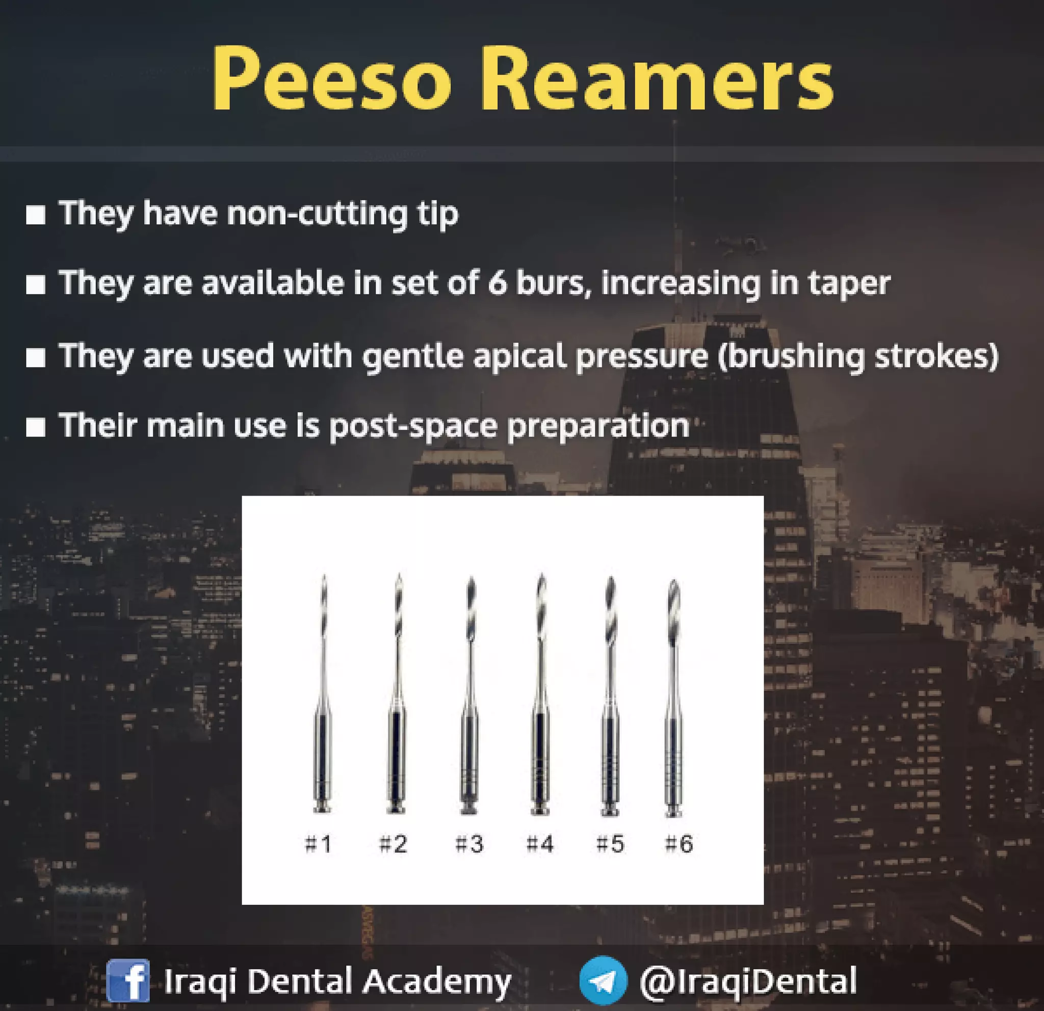 Basic Endodontic Instruments Presentation | PDF