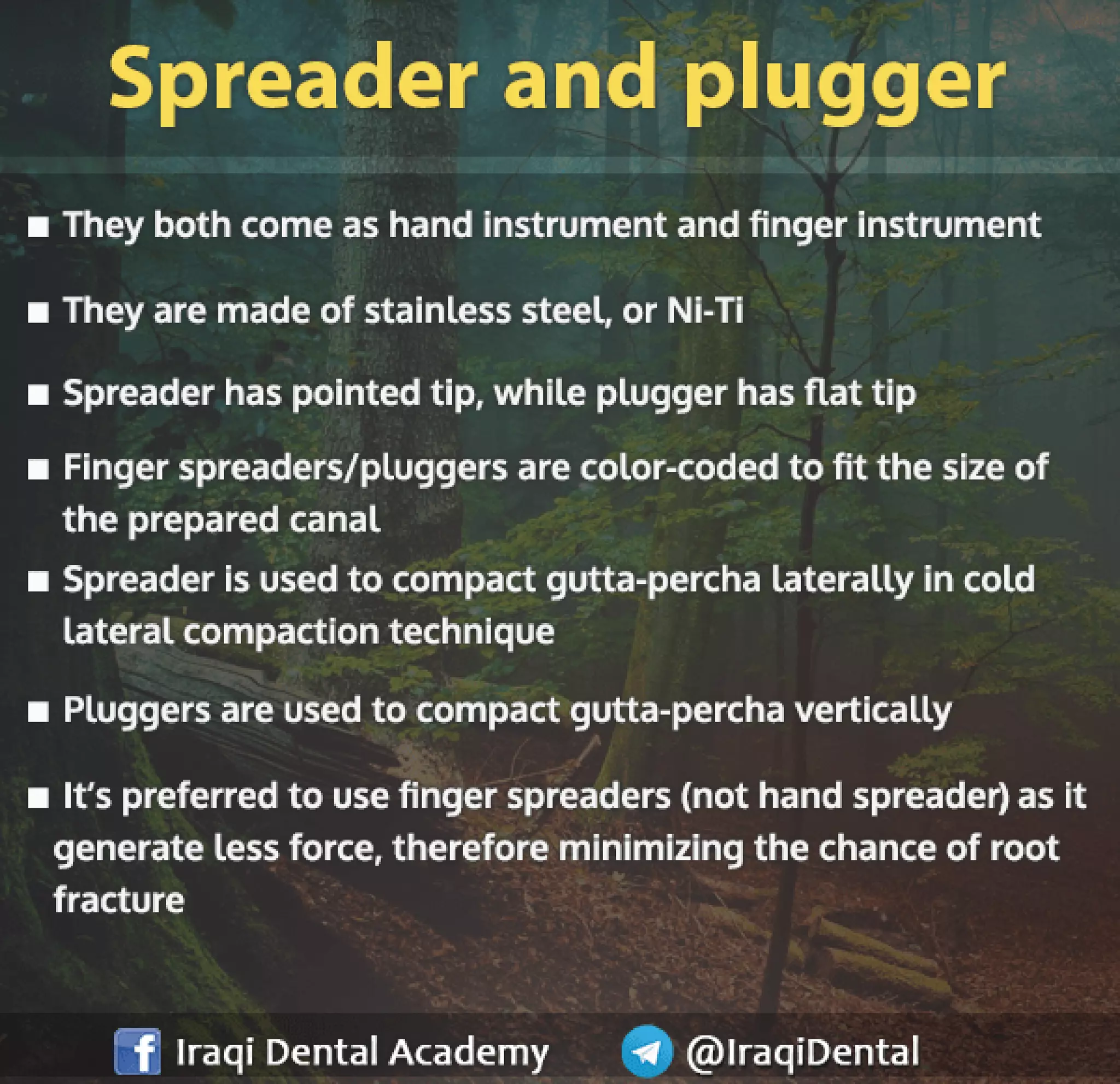 Basic Endodontic Instruments Presentation | PDF