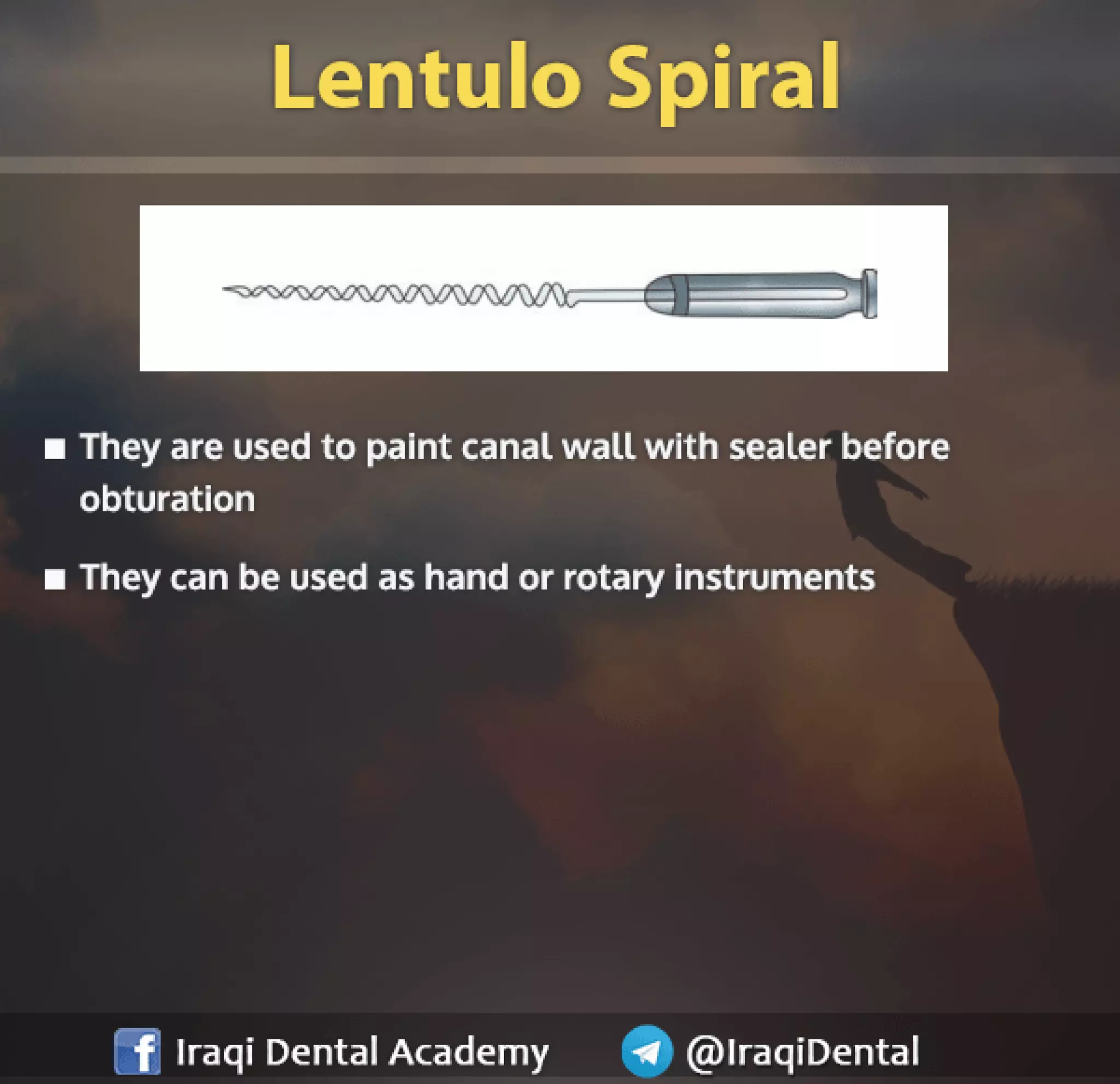 Basic Endodontic Instruments Presentation | PDF