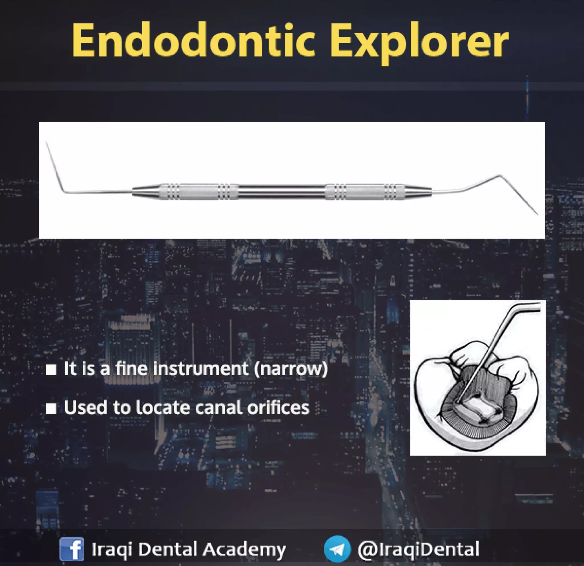 Basic Endodontic Instruments Presentation | PDF