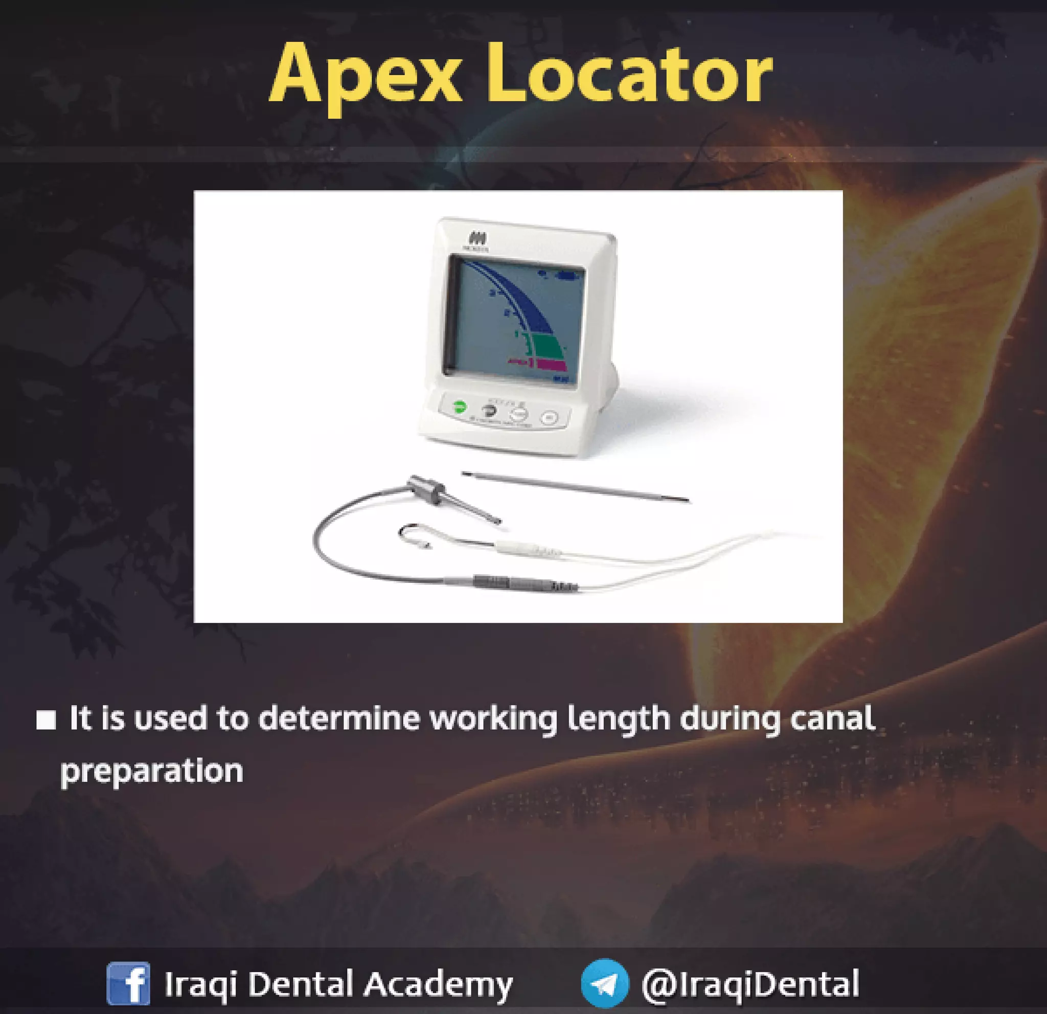 Basic Endodontic Instruments Presentation | PDF